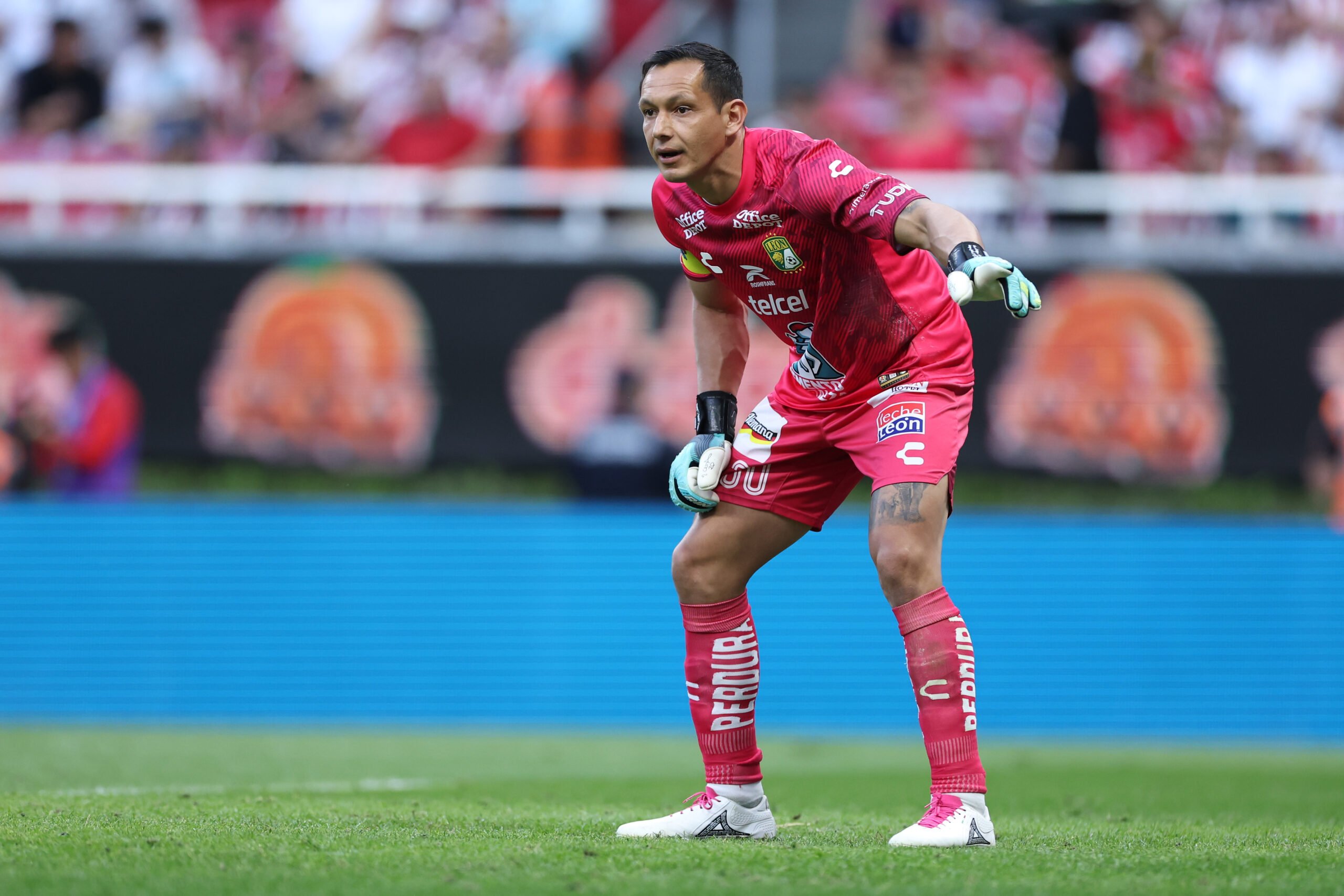 Rodolfo Cota sería el elegido para cubrir la portería americanista